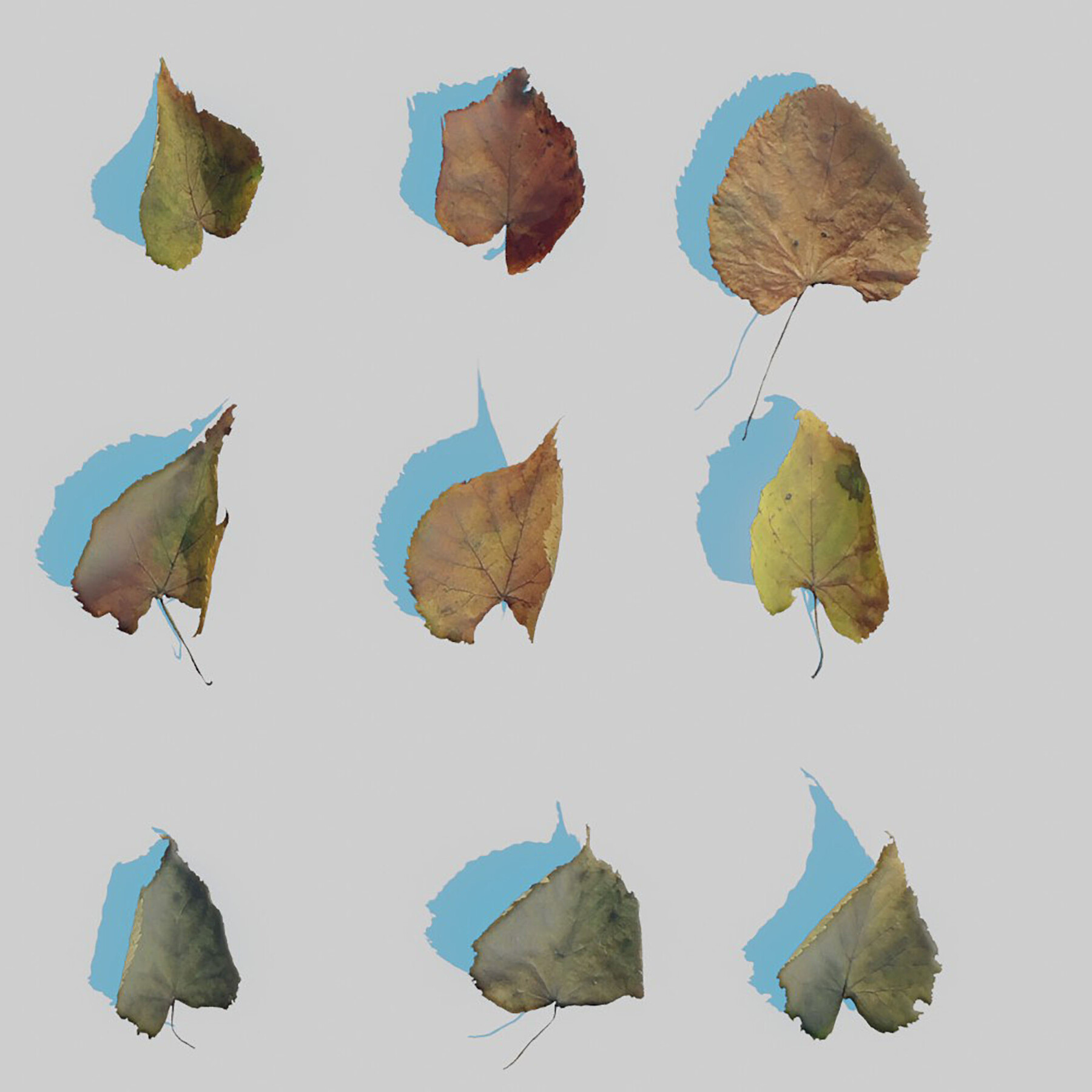 ArtStation - Dry Plants Pack | Resources