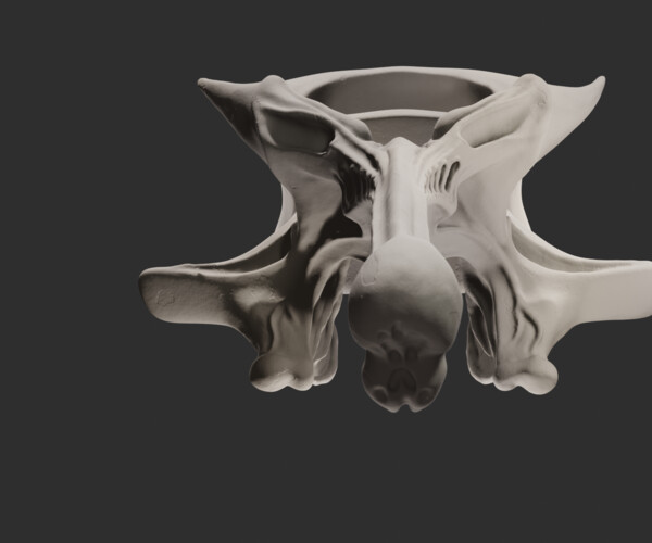 ArtStation - vertebra | Artworks