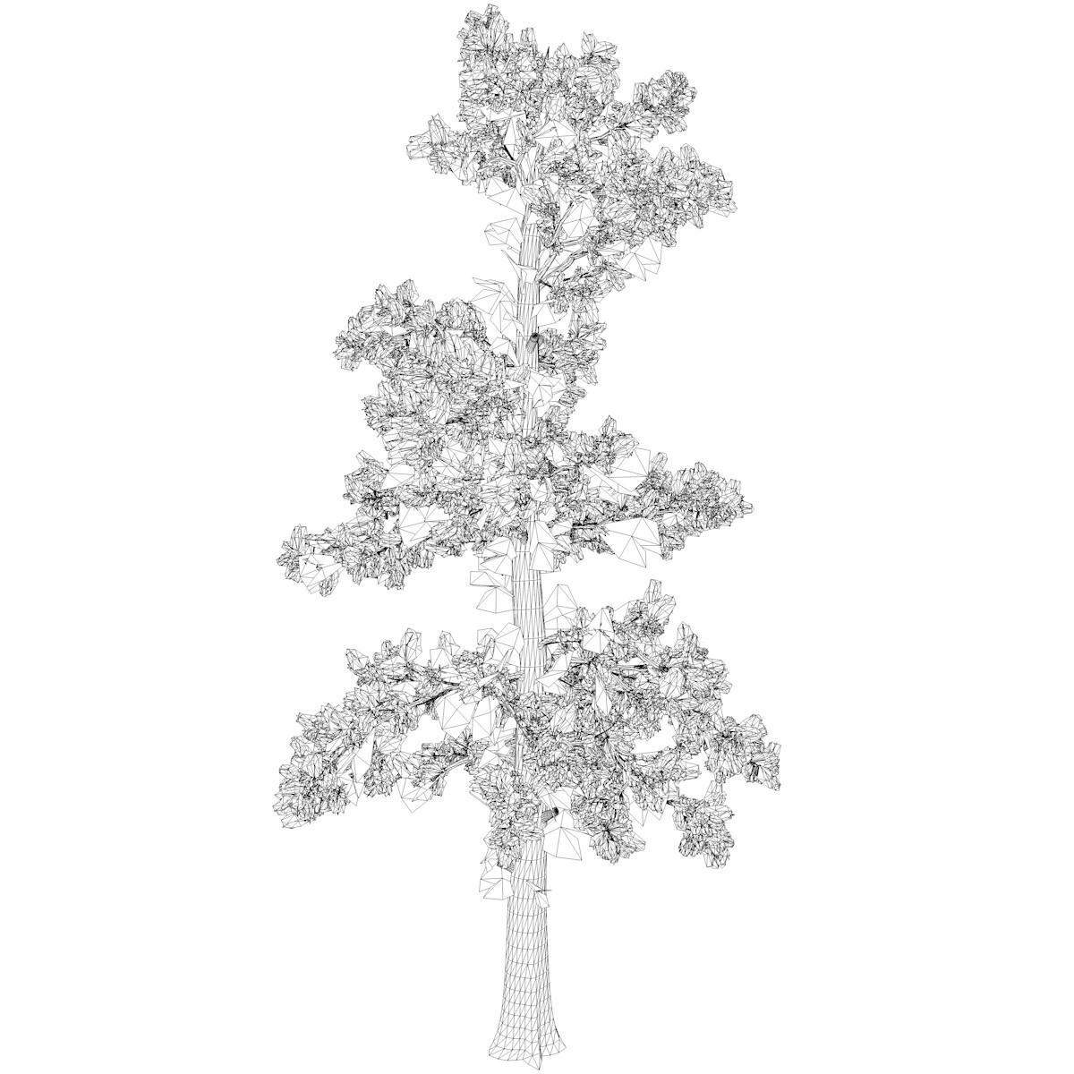 ArtStation - Eastern White Pine #07 (FBX) - High Poly Tree (3D Model ...