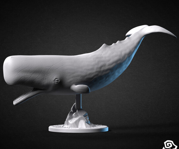 ArtStation - Animals - Ocean Wildlife - 3D Print Models | Resources