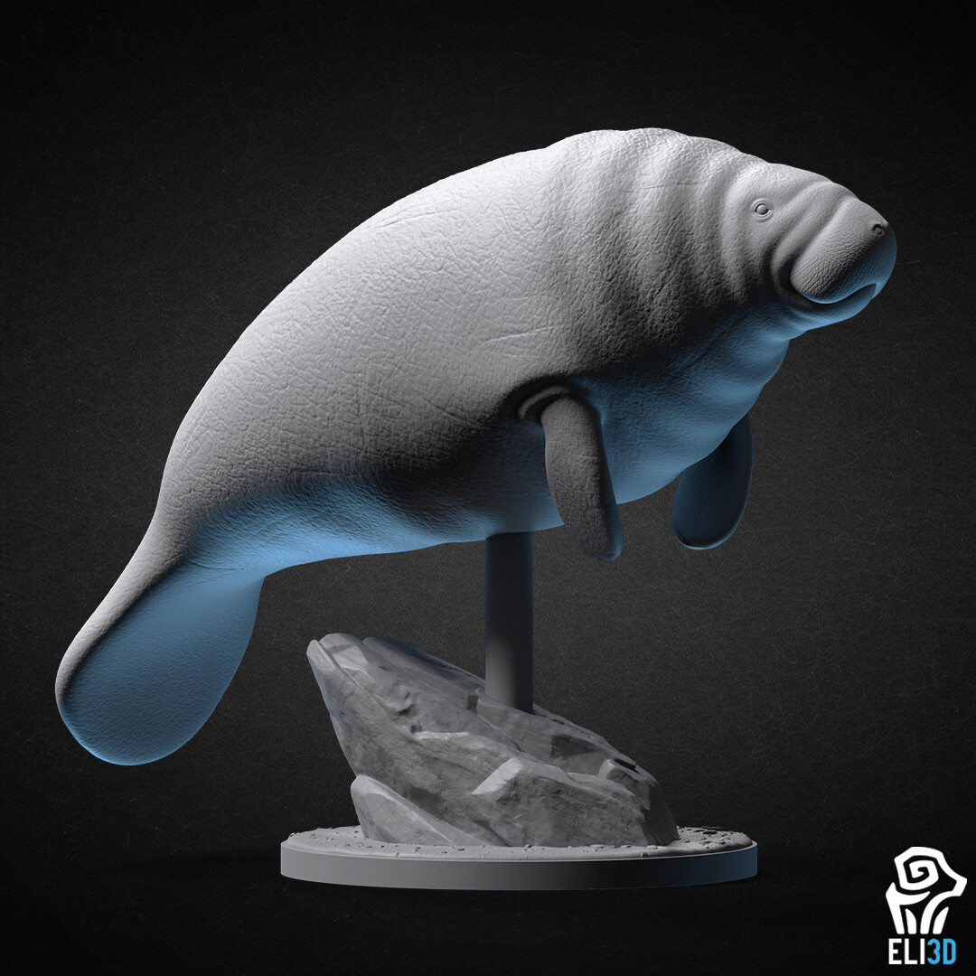 ArtStation - Animals - Ocean Wildlife - 3D Print Models | Resources