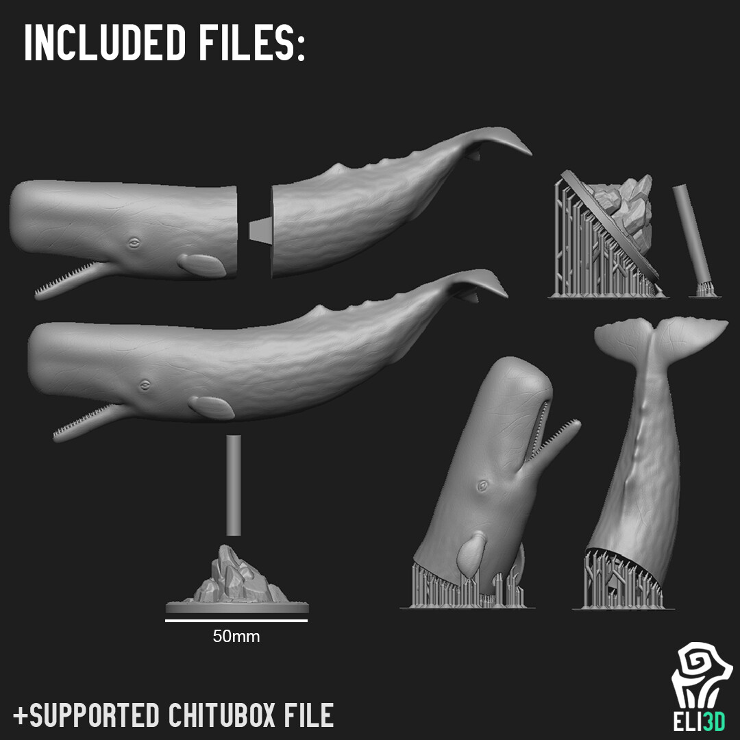 ArtStation - Animals - Ocean Wildlife - 3D Print Models | Resources