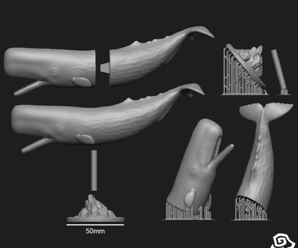 ArtStation - Animals - Ocean Wildlife - 3D Print Models | Resources