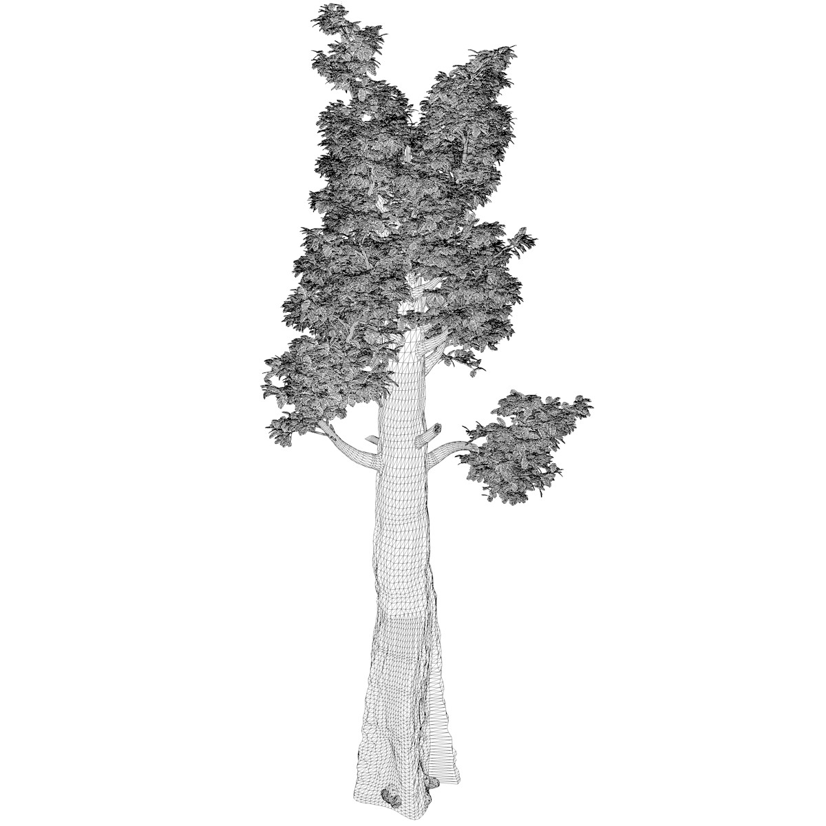 ArtStation - Giant Redwood #04 (FBX) - High Poly Tree (3D Model ...