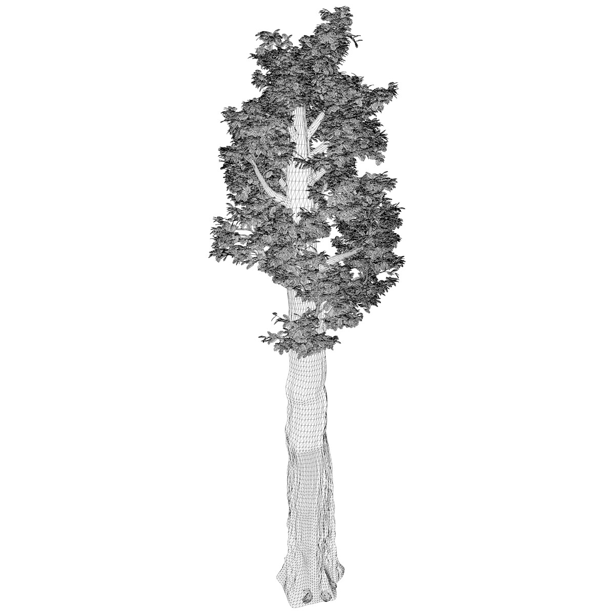 ArtStation - Giant Redwood #07 (FBX) - High Poly Tree (3D Model ...