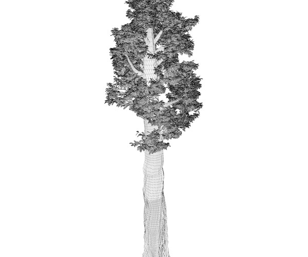 ArtStation - Giant Redwood #07 (FBX) - High Poly Tree (3D Model ...