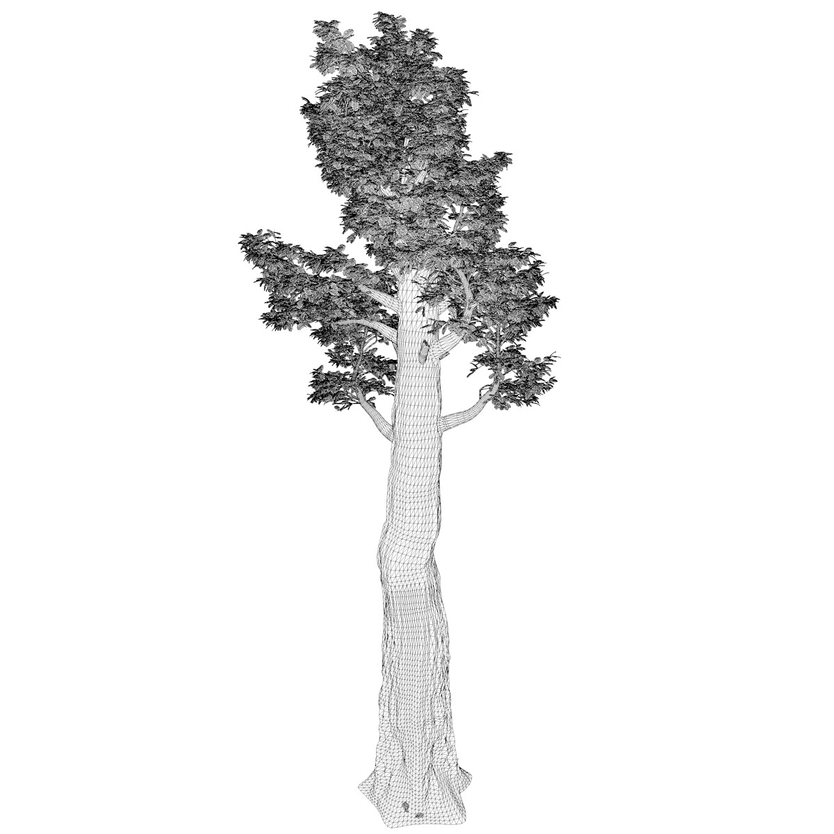 ArtStation - Giant Redwood #09 (FBX) - High Poly Tree (3D Model ...