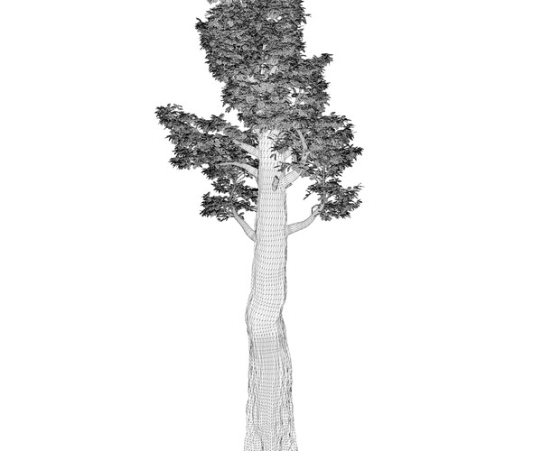 ArtStation - Giant Redwood #09 (FBX) - High Poly Tree (3D Model ...