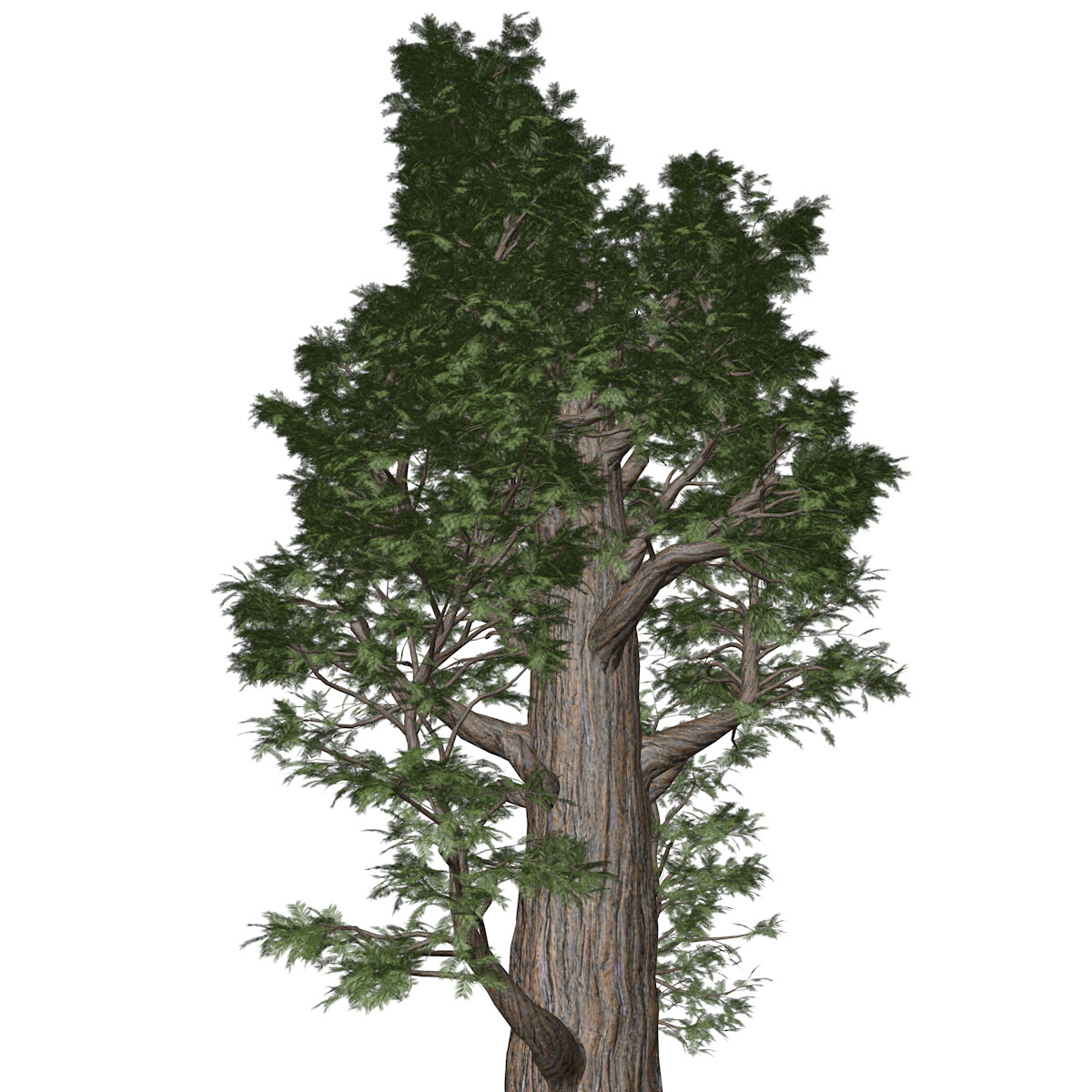 ArtStation - Giant Redwood #10 (FBX) - High Poly Tree (3D Model ...
