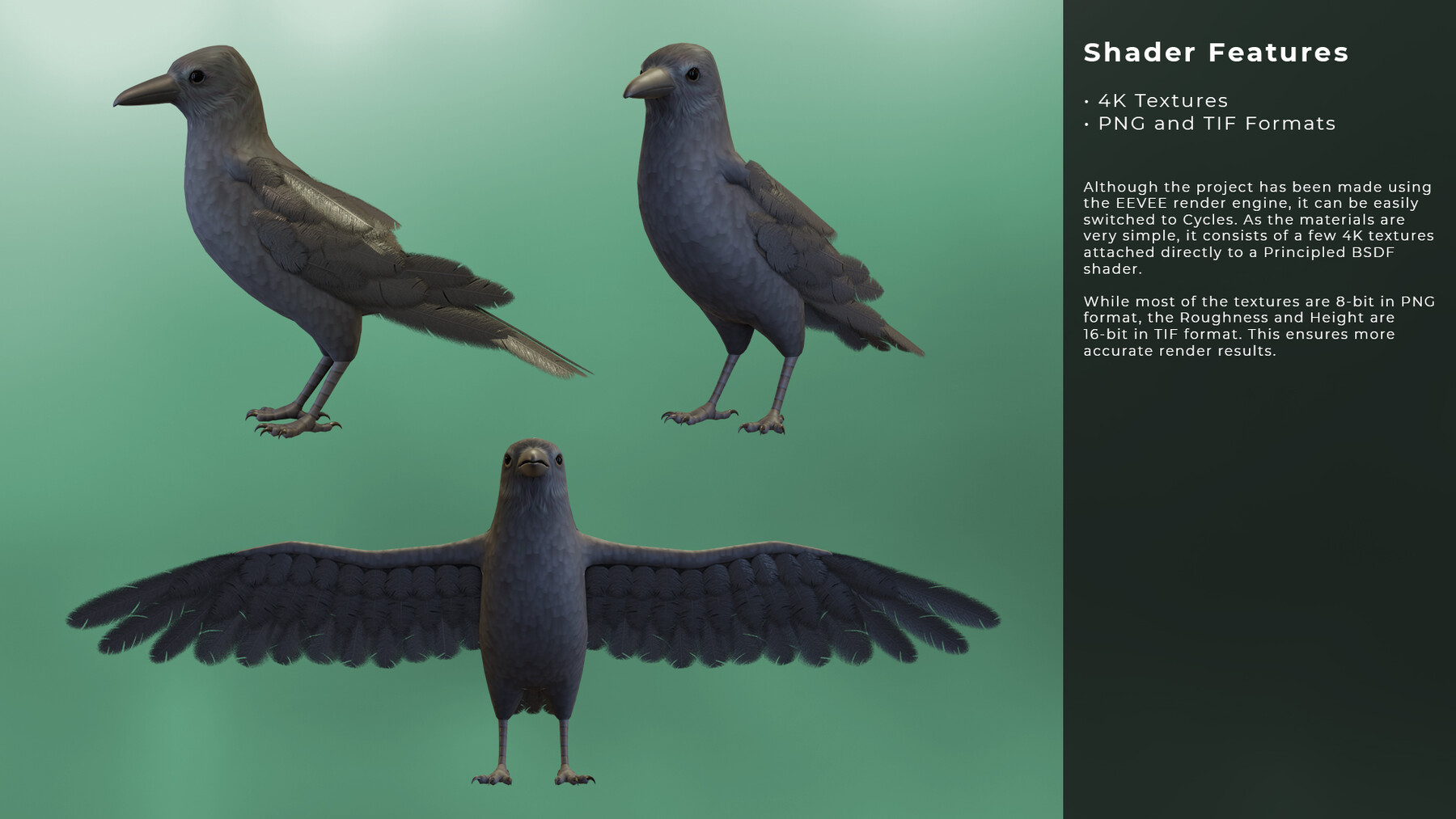 ArtStation - Crow Rigged - Stylized 3D Character for Blender | Game Assets