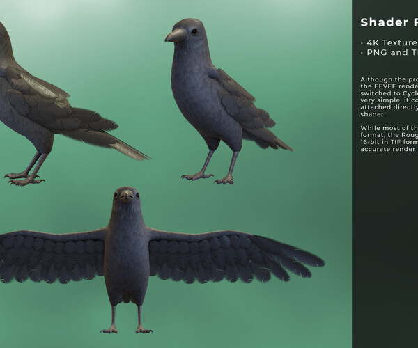 ArtStation - Crow Rigged - Stylized 3D Character for Blender | Game Assets