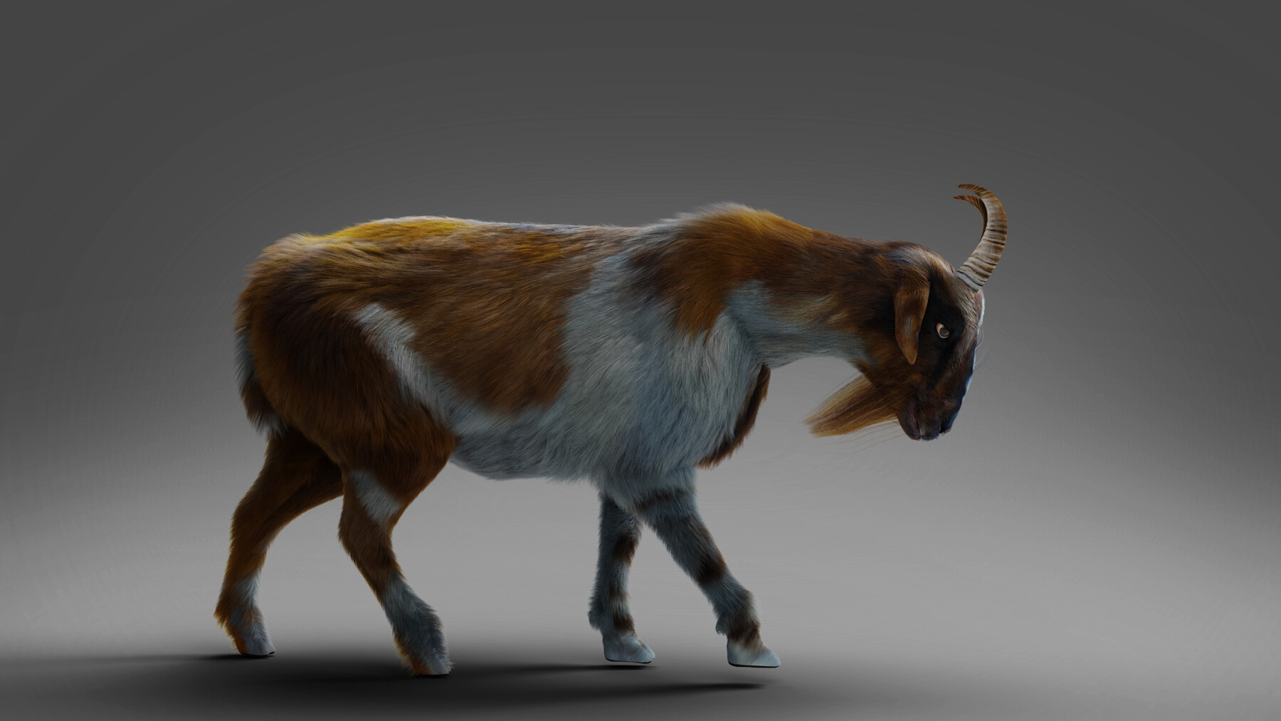 ArtStation - Fur Goat 01 Rigged and Animation in Blender | Game Assets