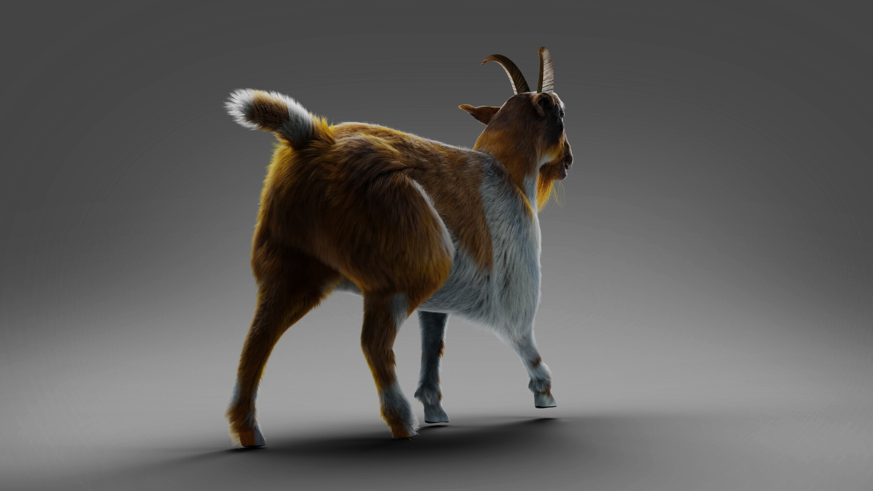 ArtStation - Fur Goat 01 Rigged and Animation in Blender | Game Assets