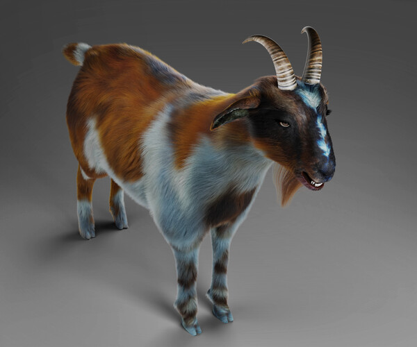 ArtStation - Fur Goat 01 Rigged and Animation in Blender | Game Assets