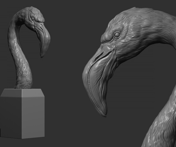 ArtStation - Flamingo head | Resources