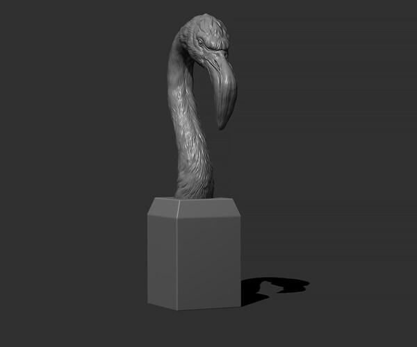 ArtStation - Flamingo head | Resources
