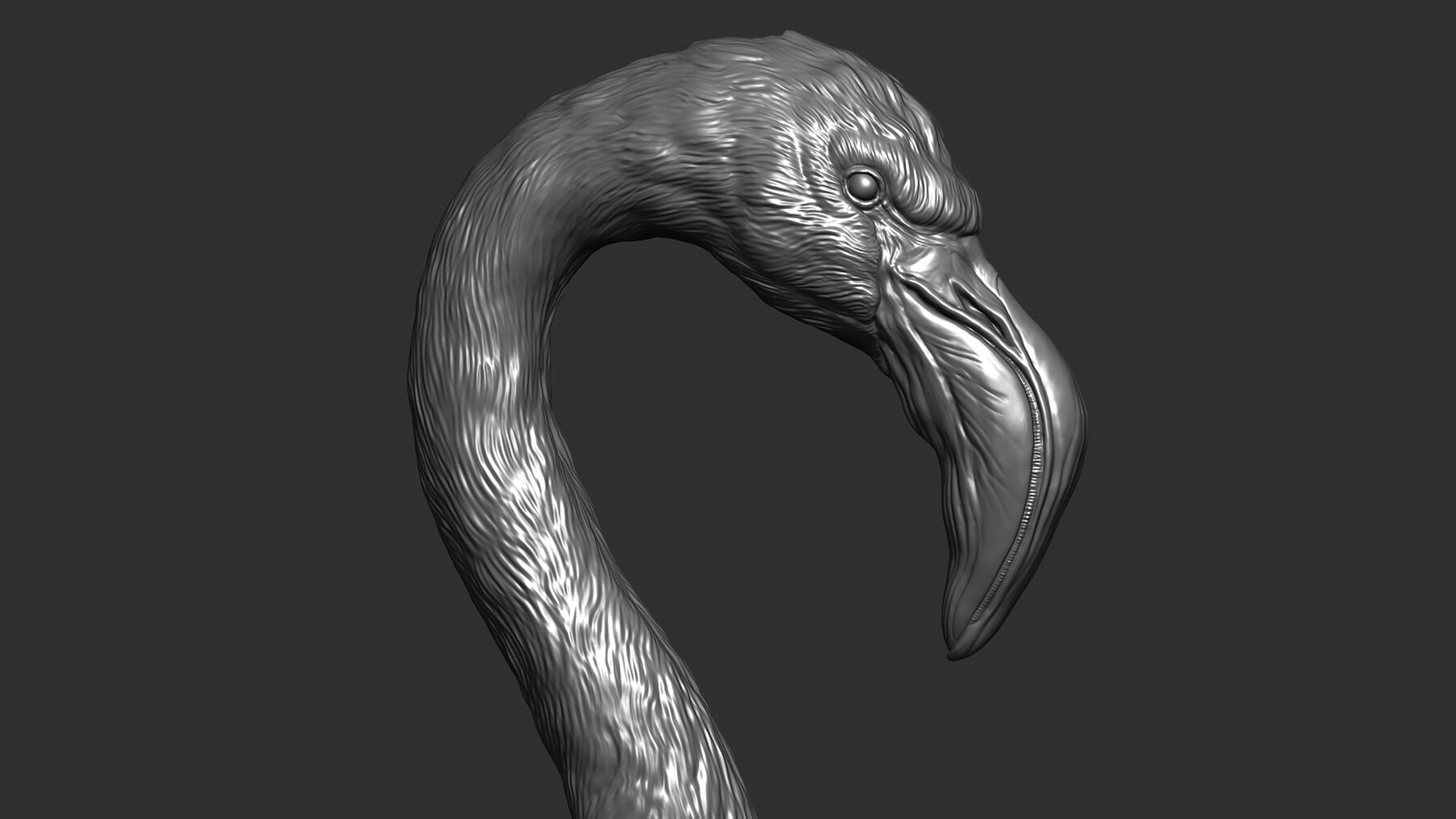ArtStation - Flamingo head | Resources