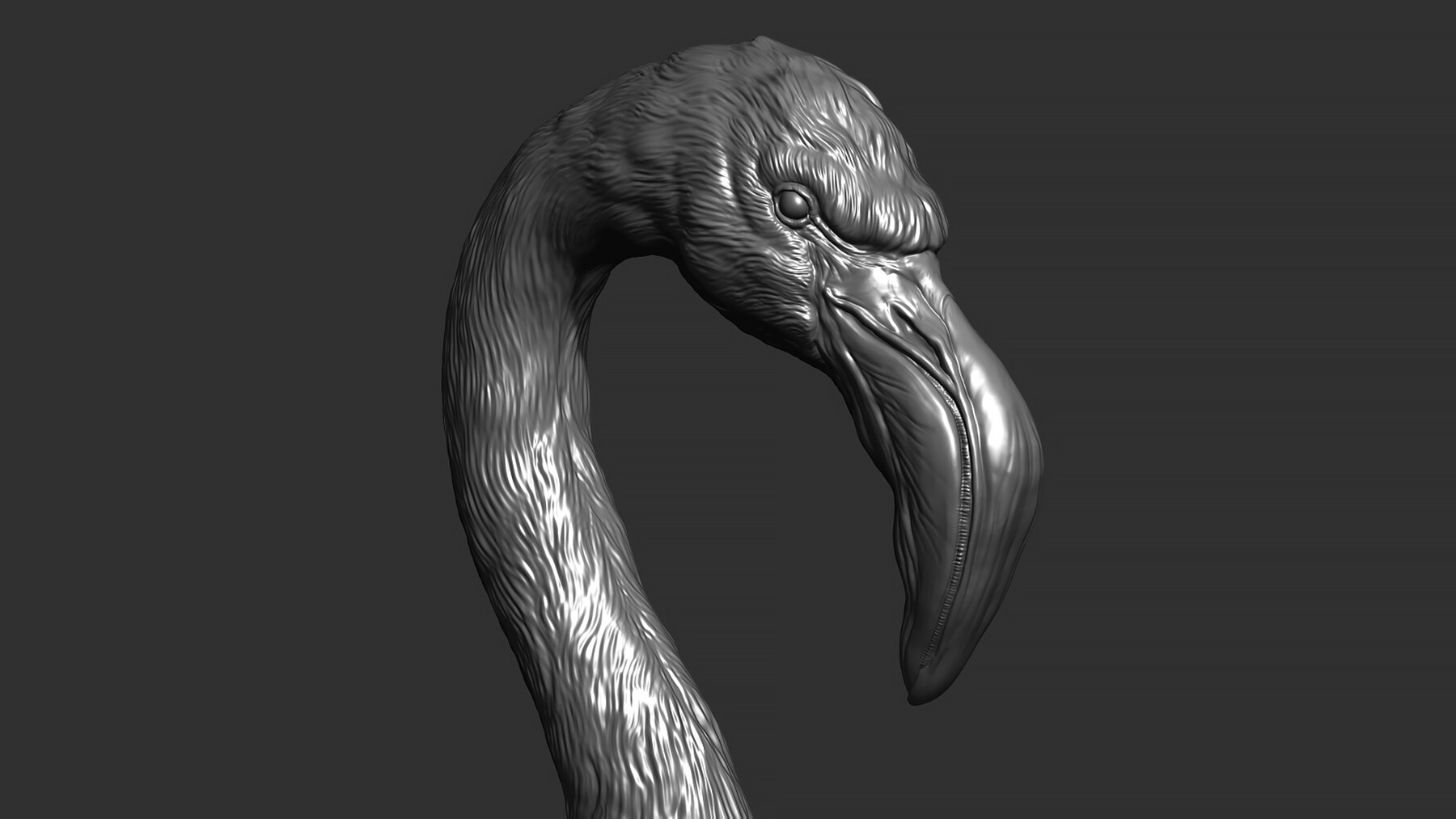 ArtStation - Flamingo head | Resources