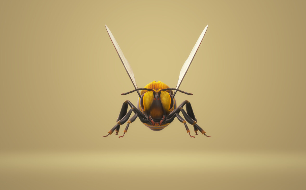 ArtStation - 3D Bee Model | Resources