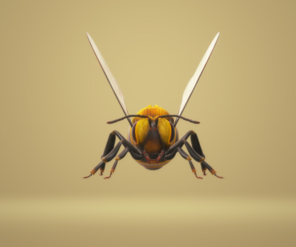 ArtStation - 3D Bee Model | Resources