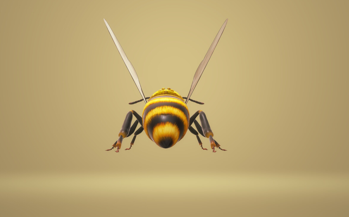 ArtStation - 3D Bee Model | Resources