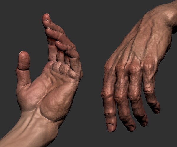 ArtStation - Free Hand | Resources