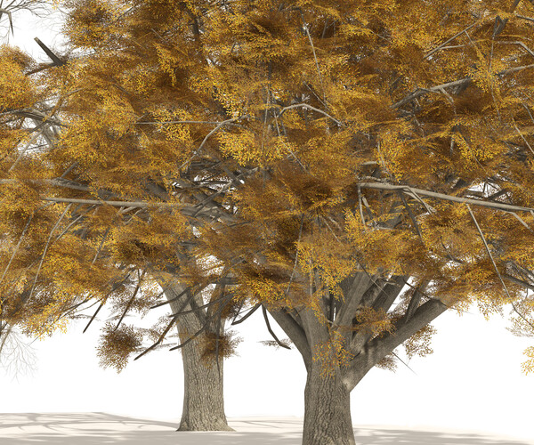 ArtStation - winter American Elm Trees | Resources