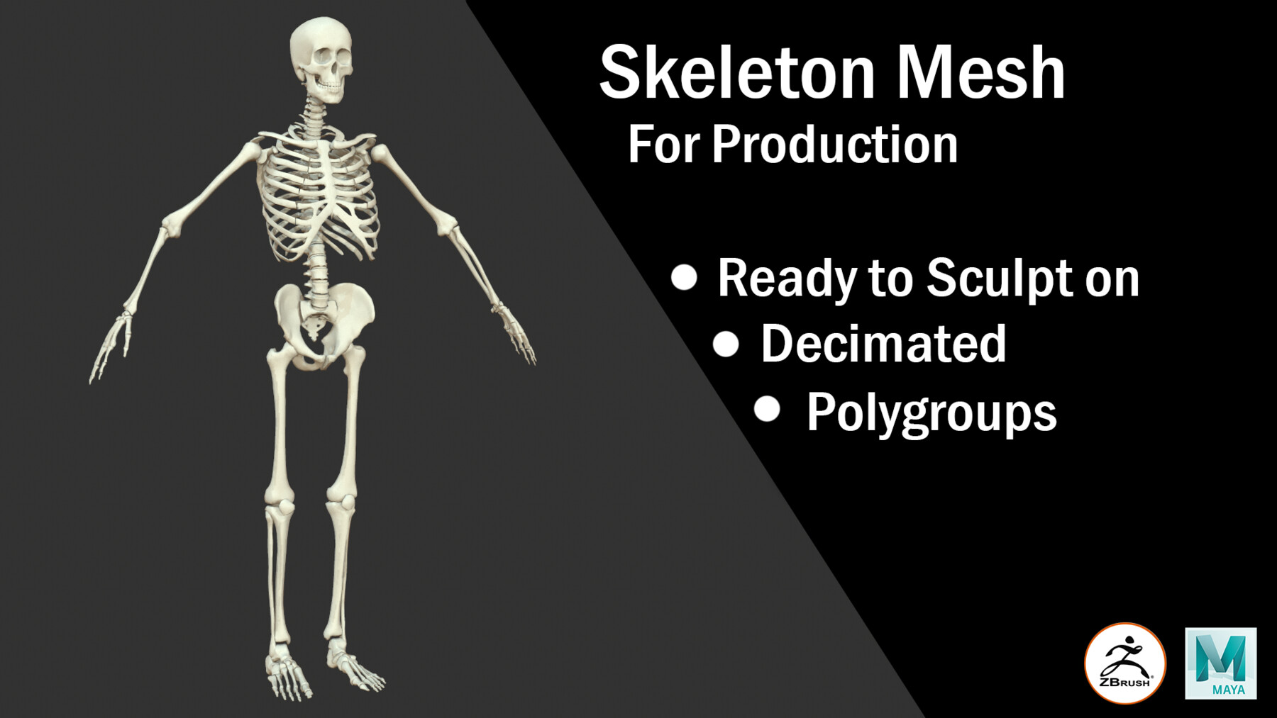 ArtStation - Skeleton mesh - 3D model | Resources