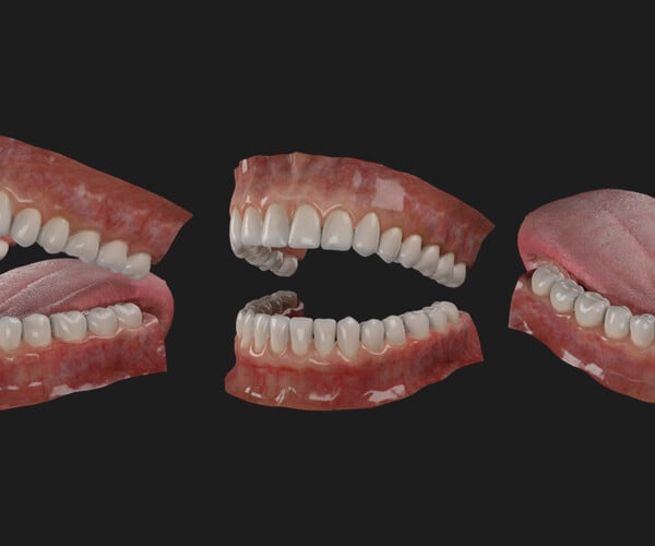 ArtStation - Realistic Teeth 3D model - VFX and Real-time | Resources