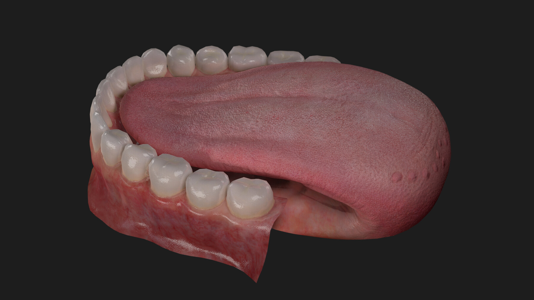 ArtStation - Realistic Teeth 3D model - VFX and Real-time | Resources