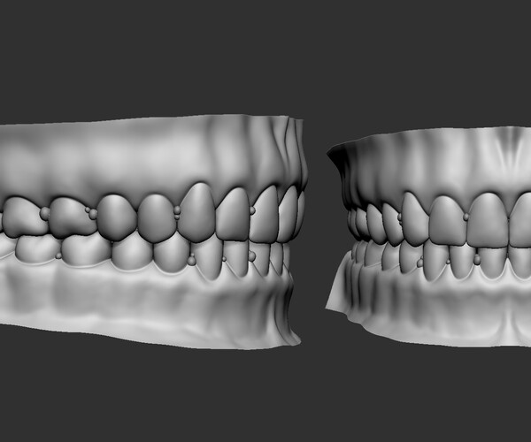 ArtStation - Realistic Teeth 3D model - VFX and Real-time | Resources