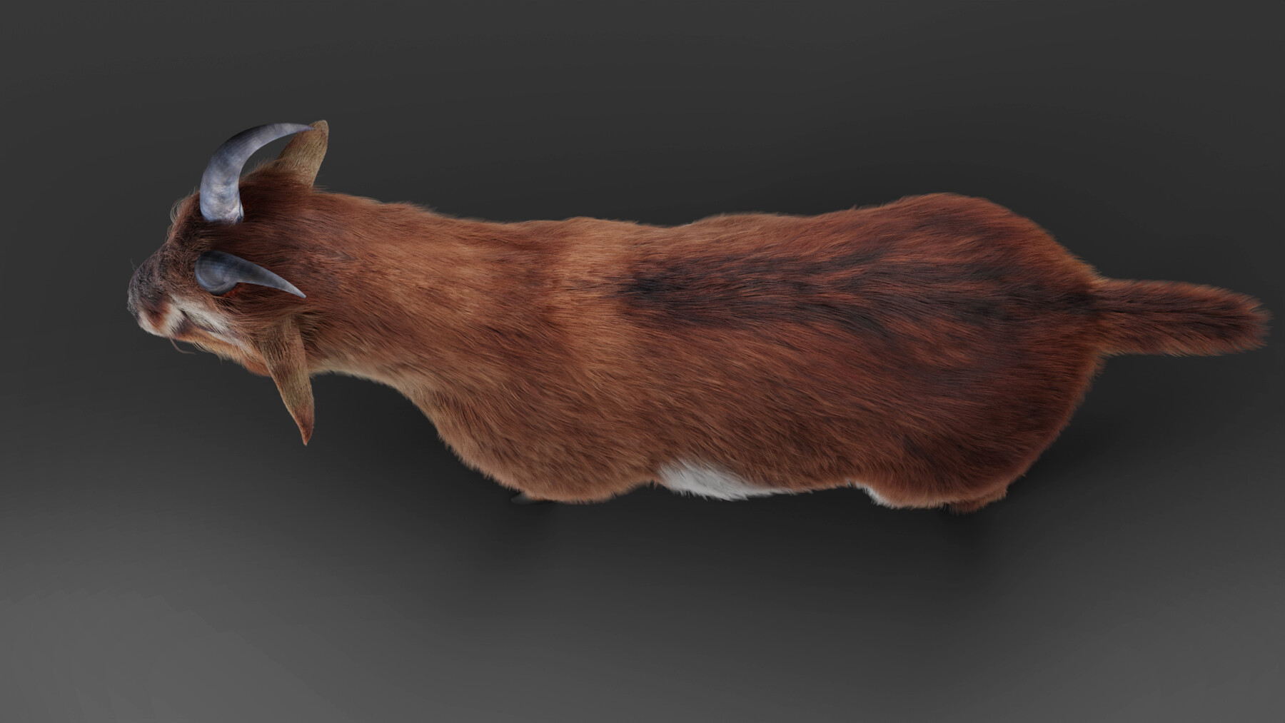 ArtStation - Fur Goat 04 Rigged and Animation in Blender | Game Assets
