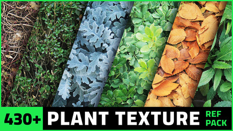 ArtStation - 430+ Plant Texture Reference Pack | Resources