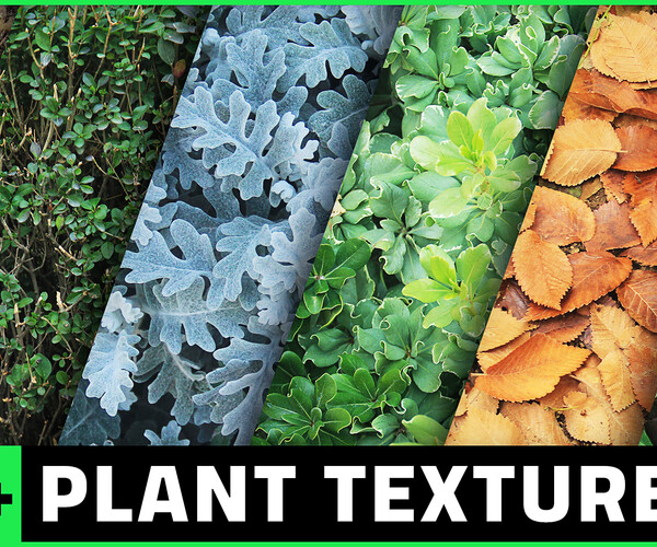 ArtStation - 430+ Plant Texture Reference Pack | Resources
