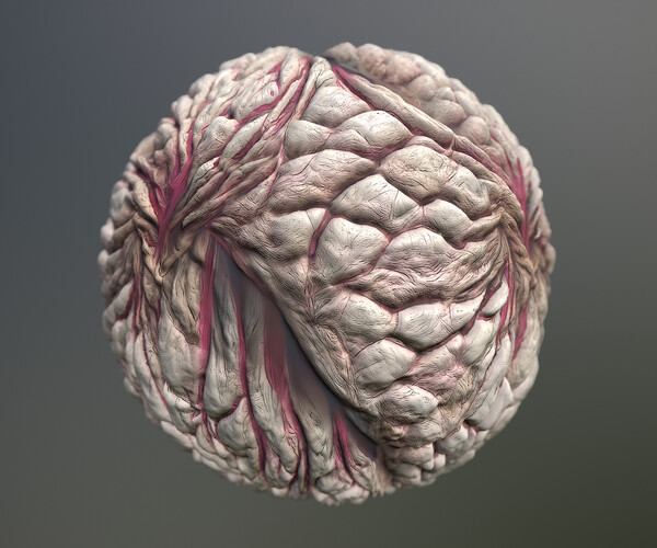 ArtStation - 10 Materials Skin Monster Seamless PBR Pack 3 | Resources