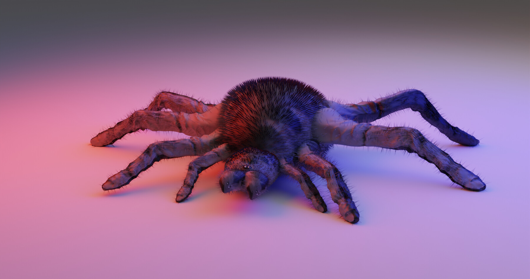 ArtStation - spider | Game Assets