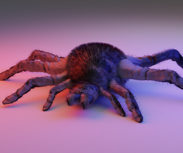ArtStation - spider | Game Assets