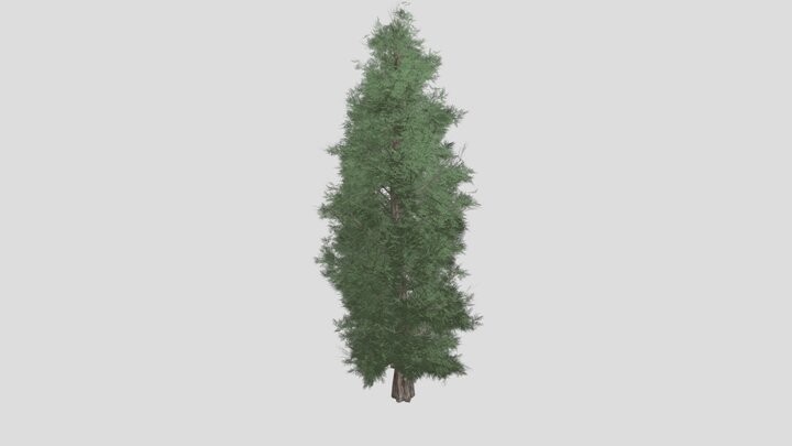 ArtStation - Eastern Red Cedar #08 (FBX) - High Poly Tree (3D Model ...