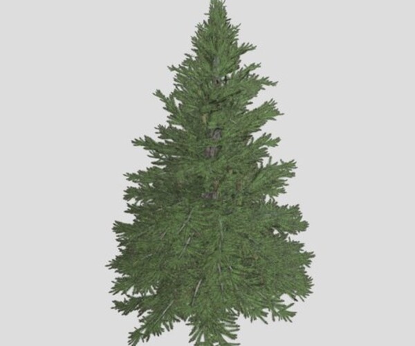 ArtStation - Norway Spruce #08 (FBX) - High Poly Tree (3D Model ...