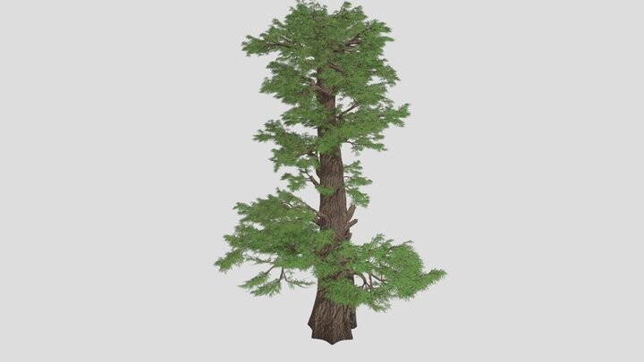 ArtStation - Western Juniper #02 (FBX) - High Poly Tree (3D Model ...