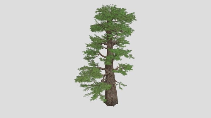 ArtStation - Western Juniper #04 (FBX) - High Poly Tree (3D Model ...