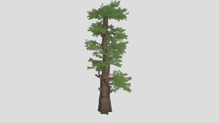 ArtStation - Western Juniper #08 (FBX) - High Poly Tree (3D Model ...