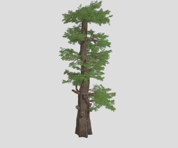 ArtStation - Western Juniper #08 (FBX) - High Poly Tree (3D Model ...