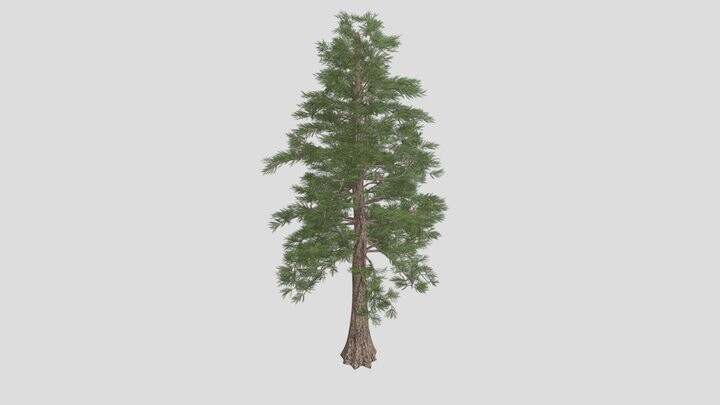 ArtStation - Western Red Cedar #07 (FBX) - High Poly Tree (3D Model ...