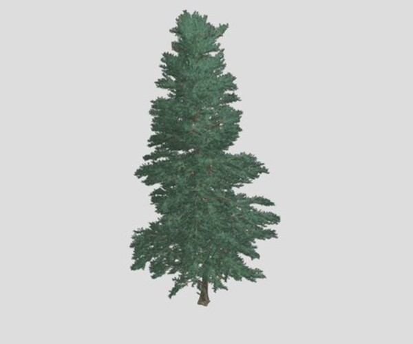 ArtStation - White Fir #06 (FBX) - High Poly Tree (3D Model) | Resources