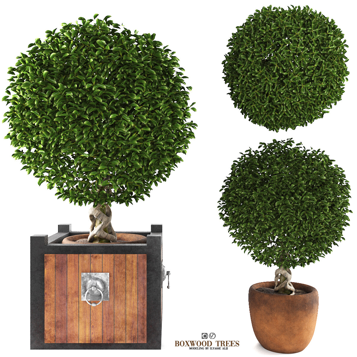 ArtStation - pot trees collection 01 | Game Assets