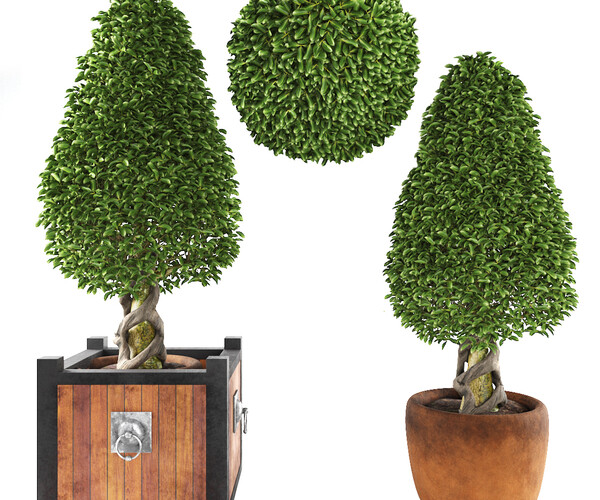 ArtStation - pot trees collection 01 | Game Assets