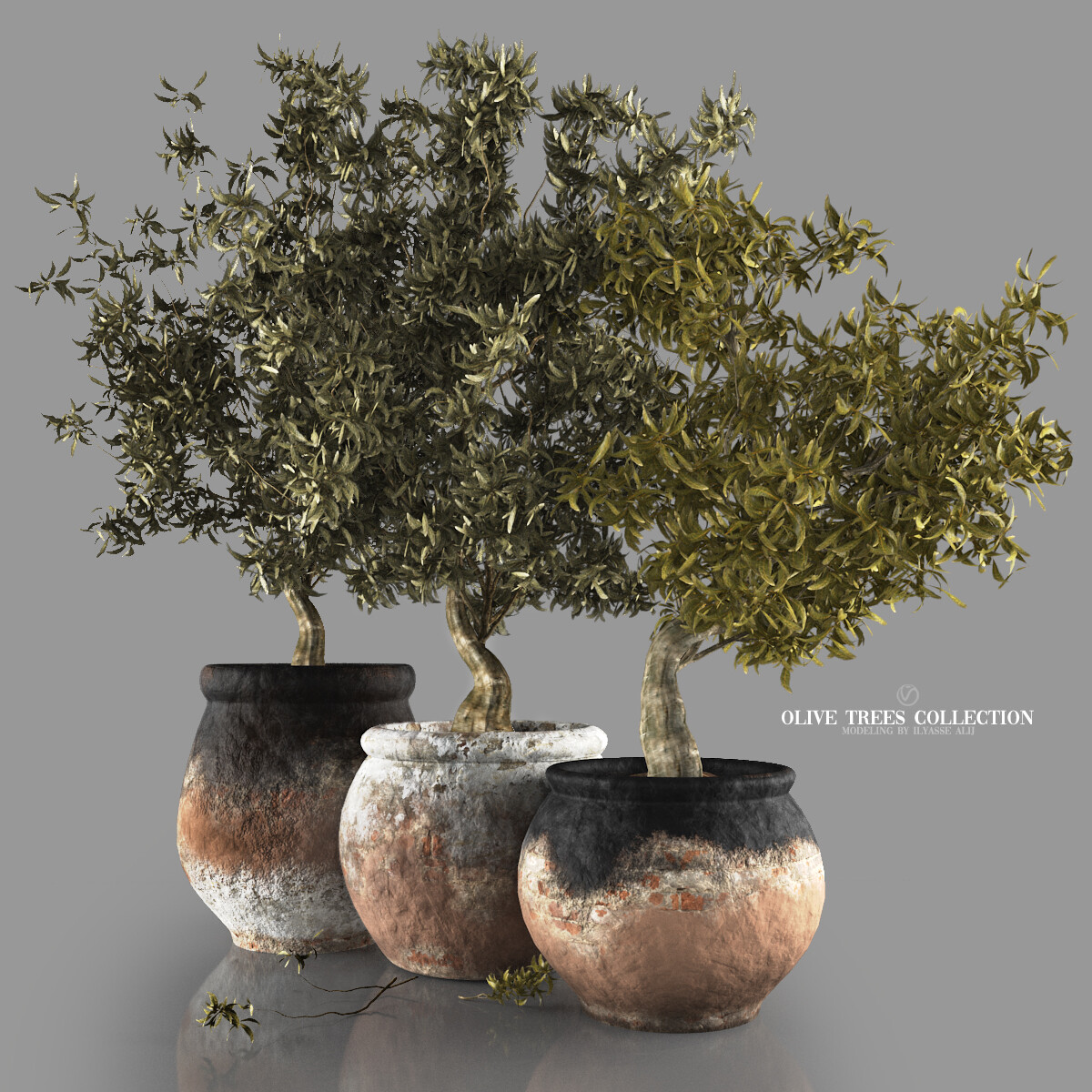 ArtStation - pot trees collection 01 | Game Assets