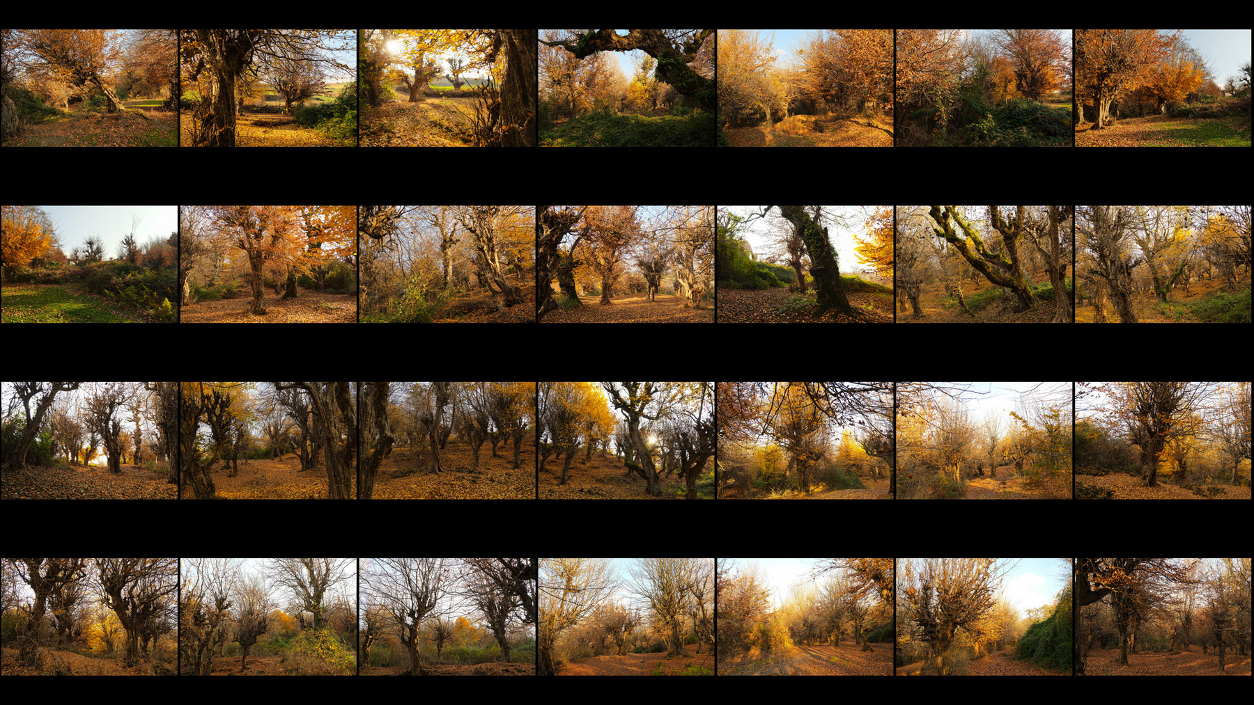 ArtStation - Nature Photo Pack (North of Iran) | Resources