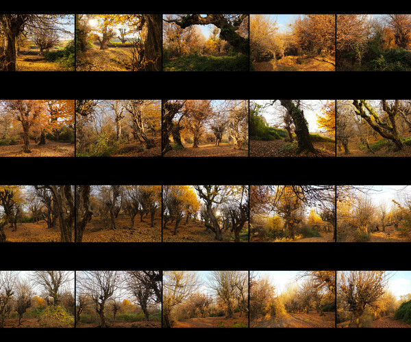 ArtStation - Nature Photo Pack (North of Iran) | Resources